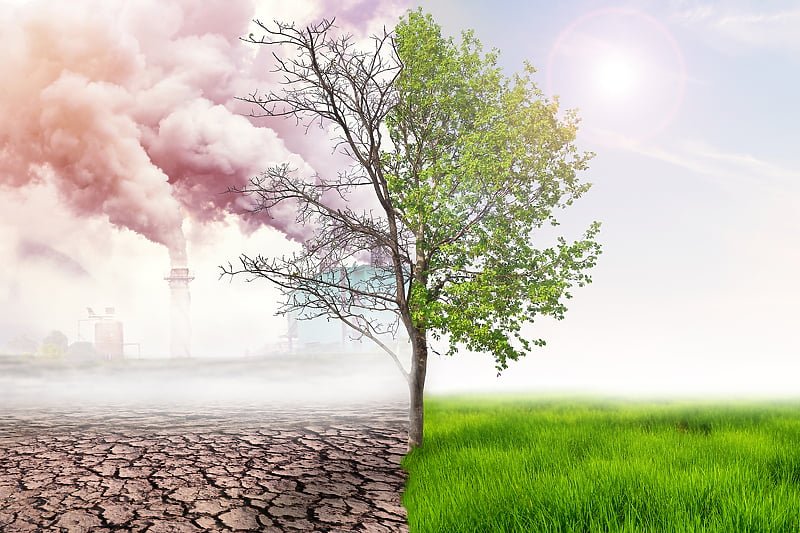 Danas je Dan planete Zemlje – Čuvajmo okoliš, zaštitimo prirodu ...